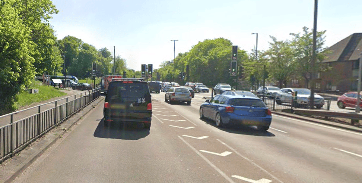 Elderly protesters reportedly attacked at pro-Palestine rally in ...