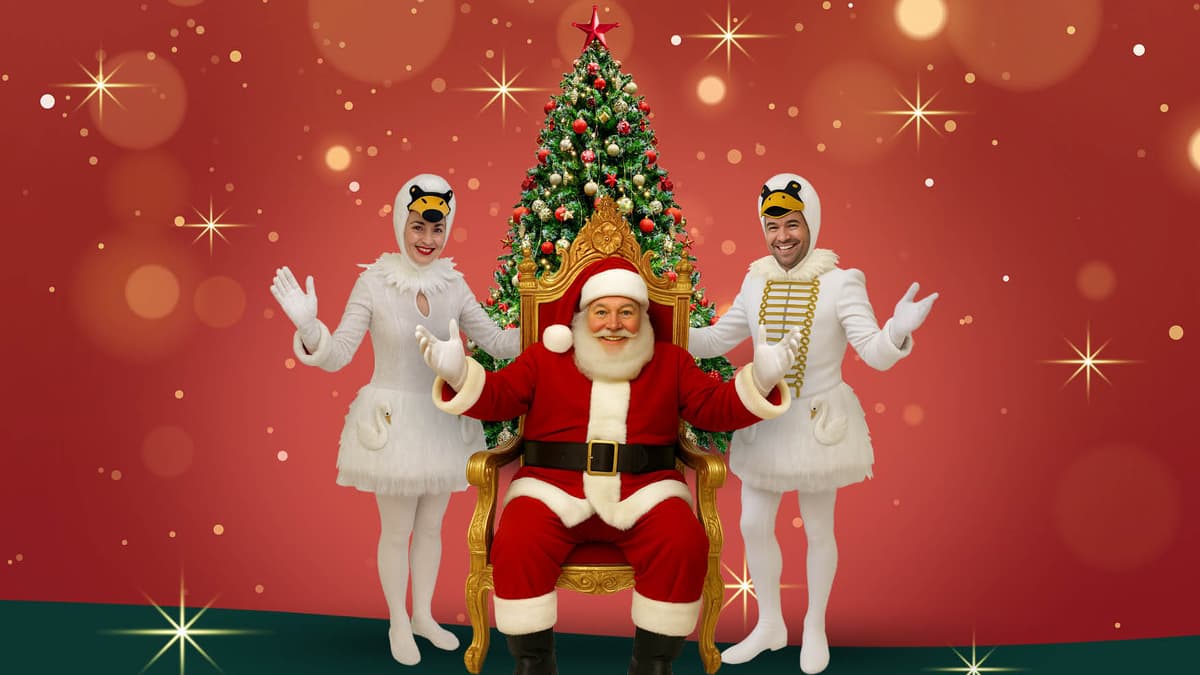 Santa ‘swans’ into Birdworld for week of festive family shows ...