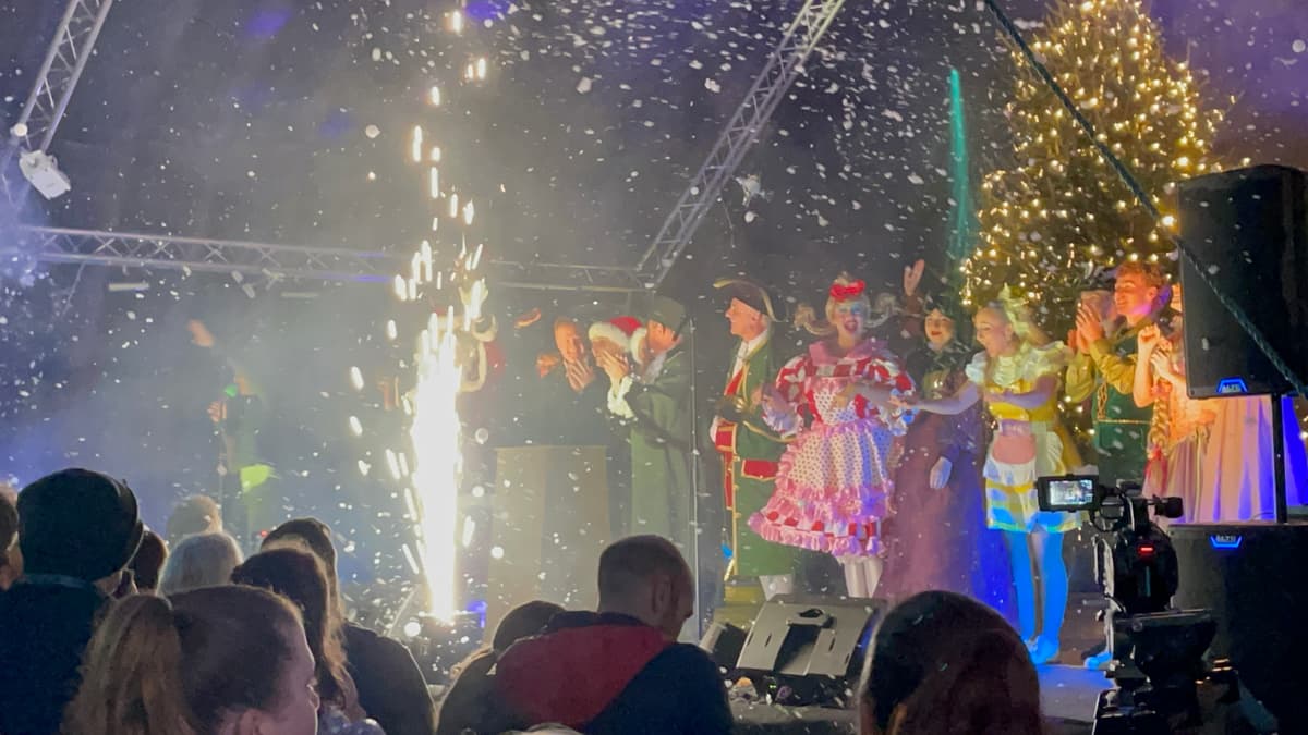 WATCH: Crowds pack Gostrey Meadow for Farnham’s Christmas lights switch ...