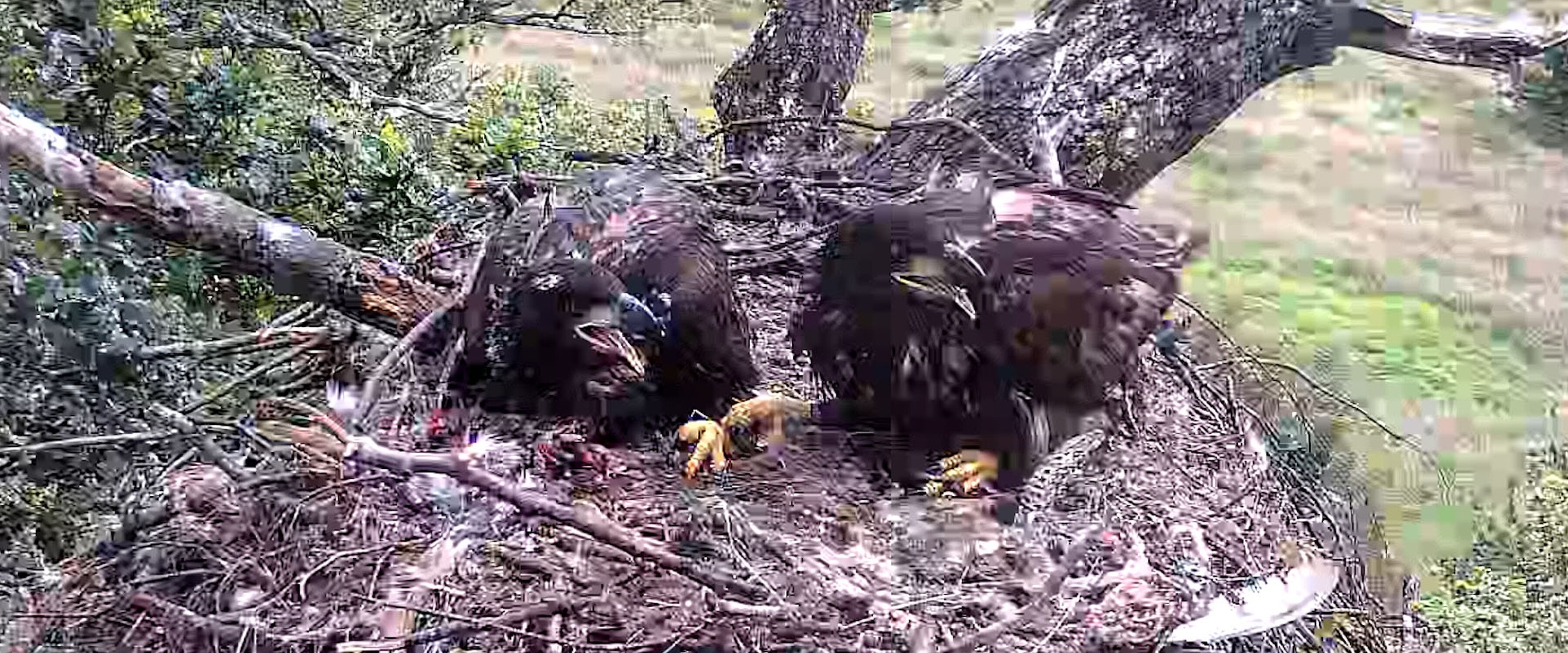 Farnham News - local news at the heart of the community