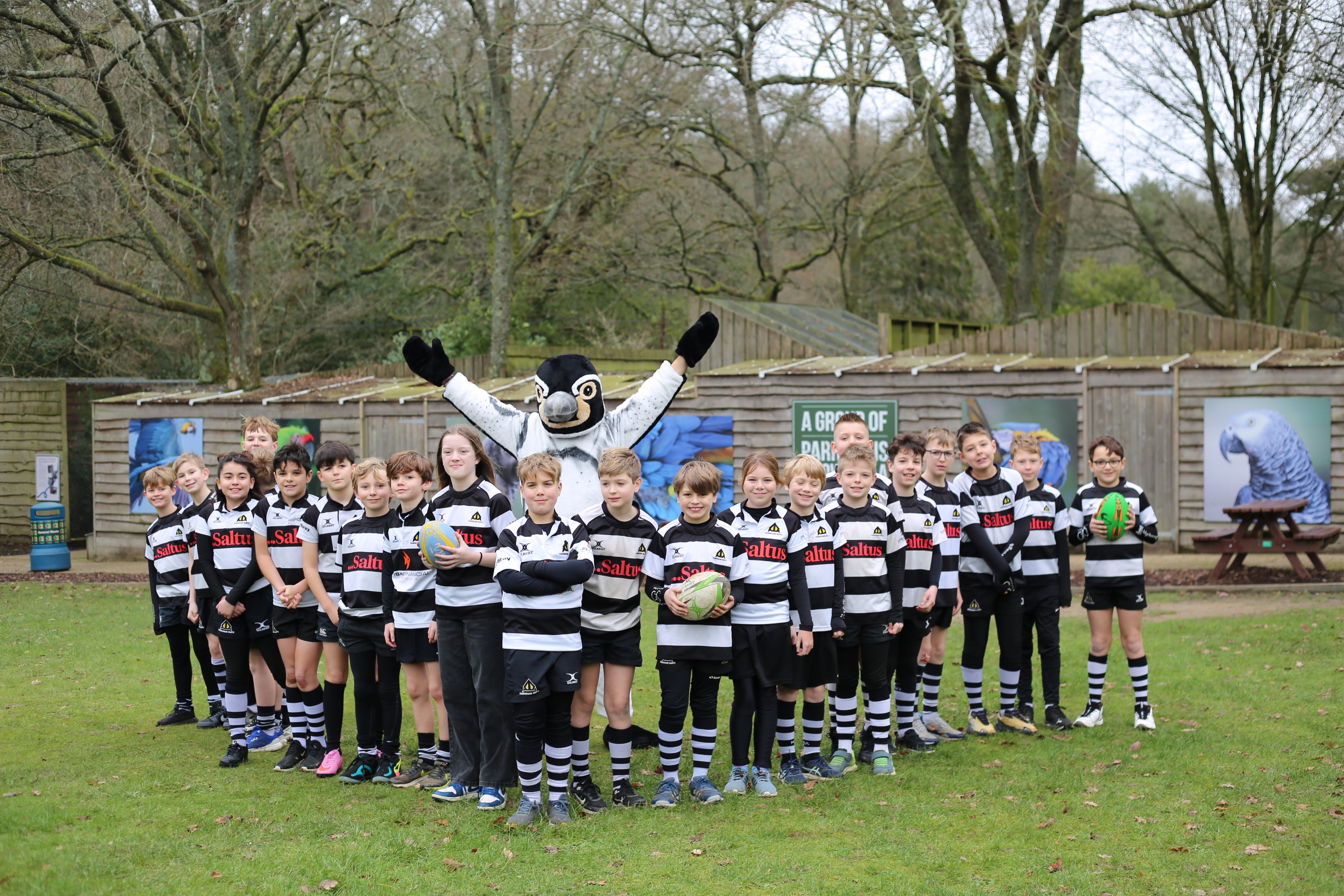 Farnham Rugby Club Minis swap the pitch for penguins at Birdworld ...