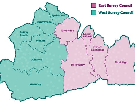 Full list of Waverley candidates for new West Surrey council ...