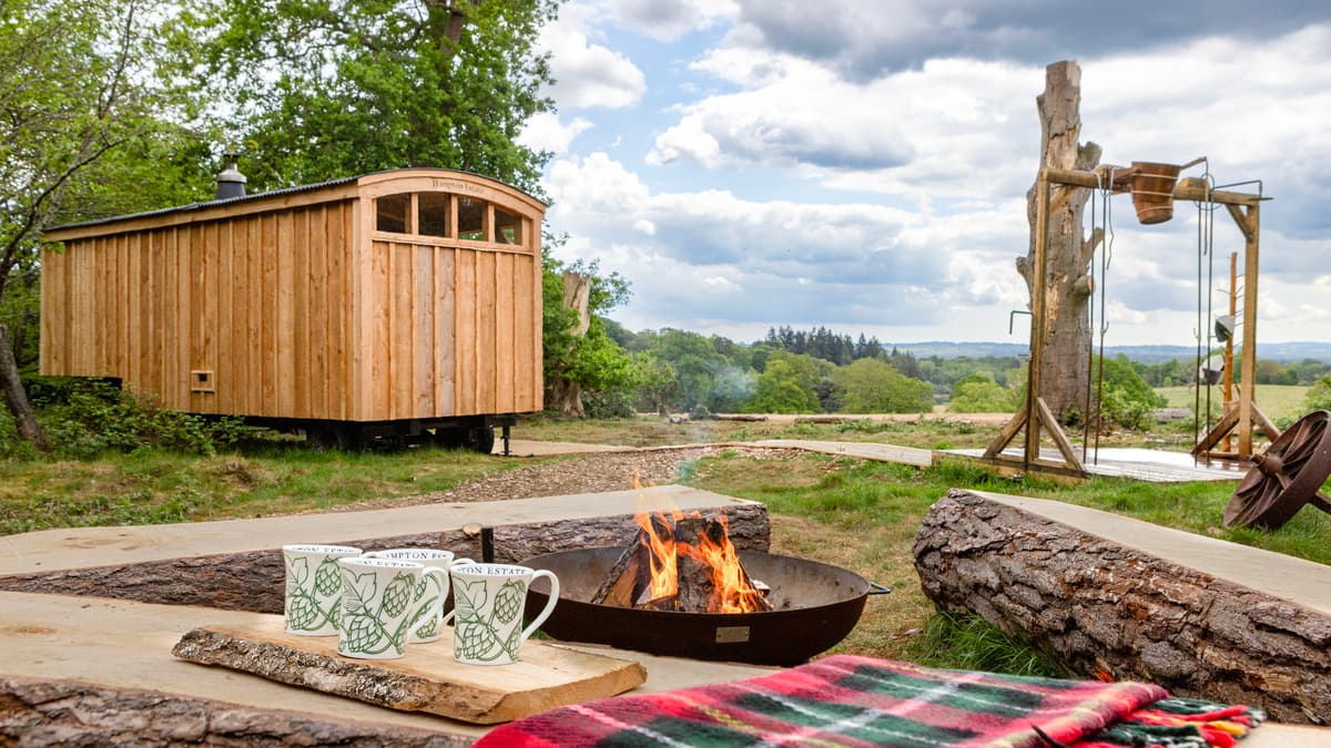 New off-grid woodland sauna opens near Farnham | farnhamherald.com