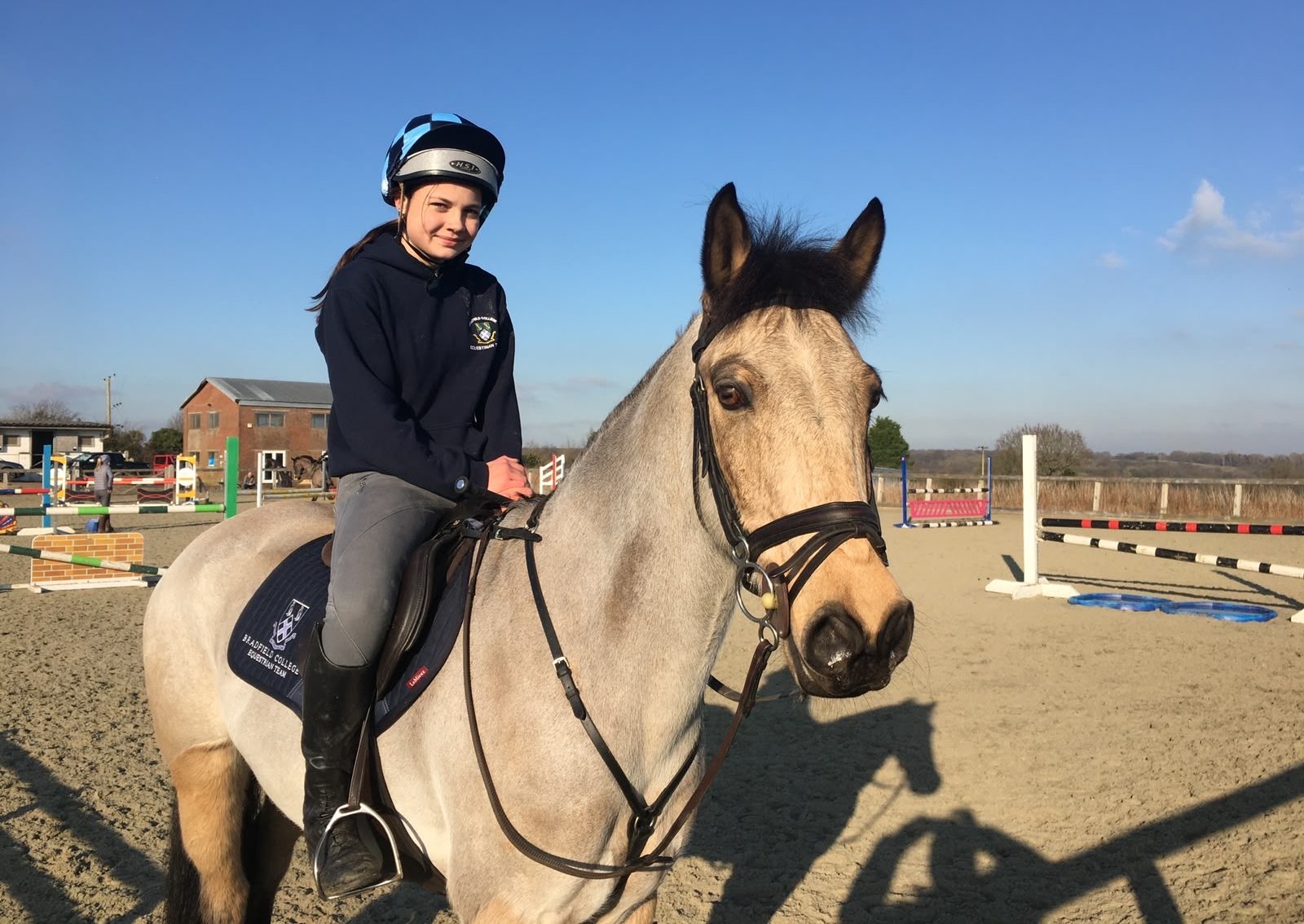 Family devastated after Paddy the pony killed in hit-and-run collision ...