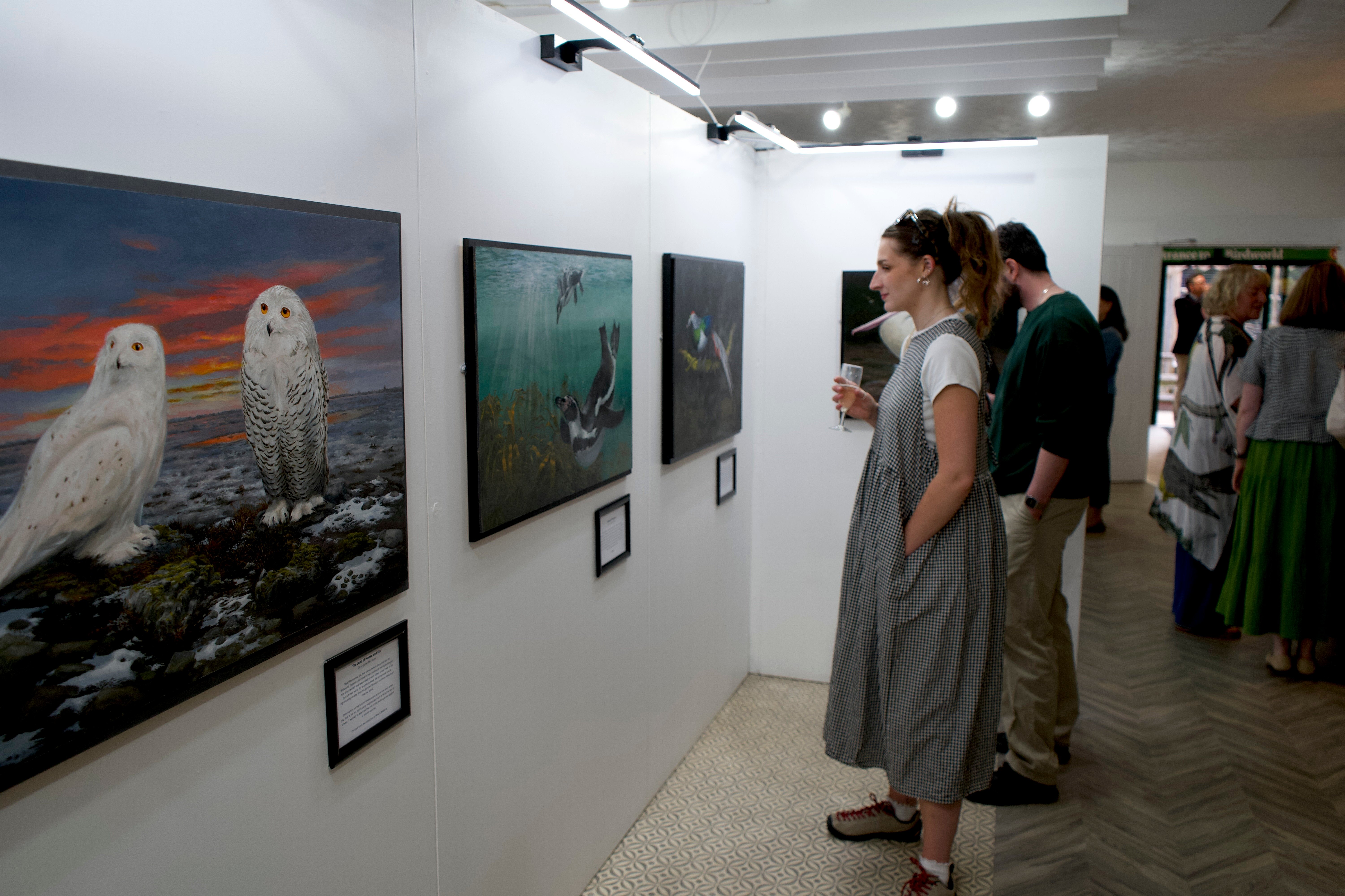 Paintings celebrate Birdworld's feathered stars | farnhamherald.com